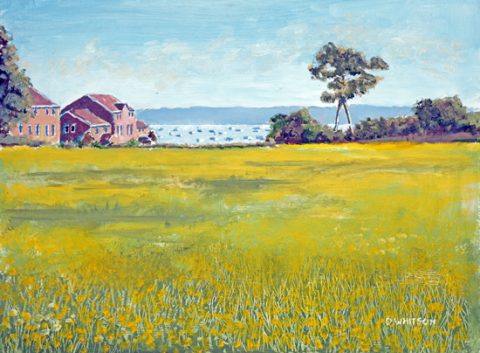 Buttercup Meadow – Priddys Hard Gosport – Fareham Art Group Artist ...